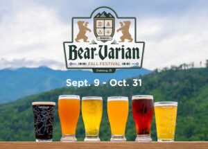 Hellbent on Anakeesta's Hellbender Mountain Coaster - Smoky Mountain ...